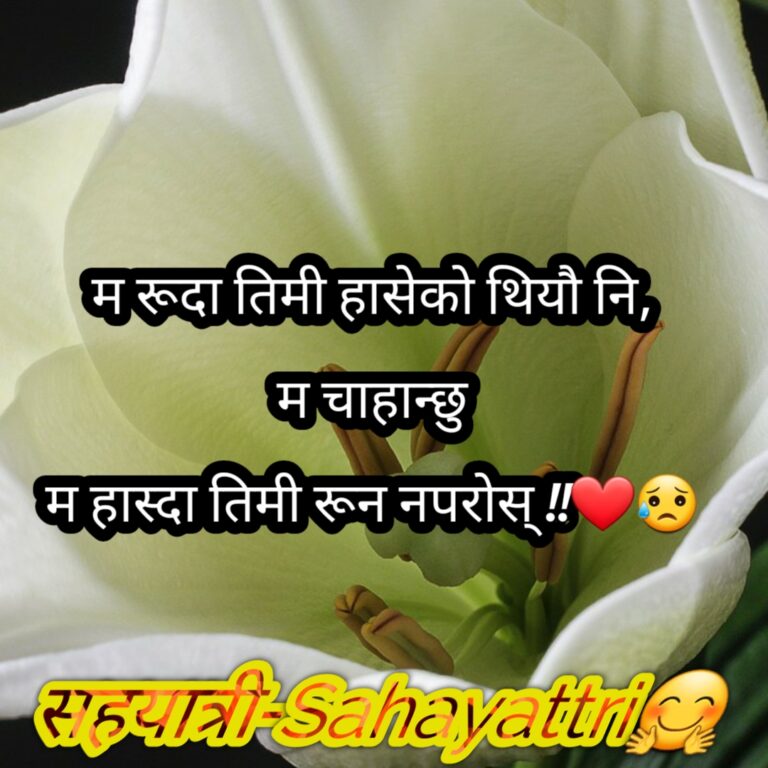 Top 10 touching Nepali lines for girl ~ Sahayattri