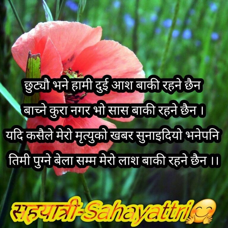 How to write Nepali Muktak? ~ Sahayattri